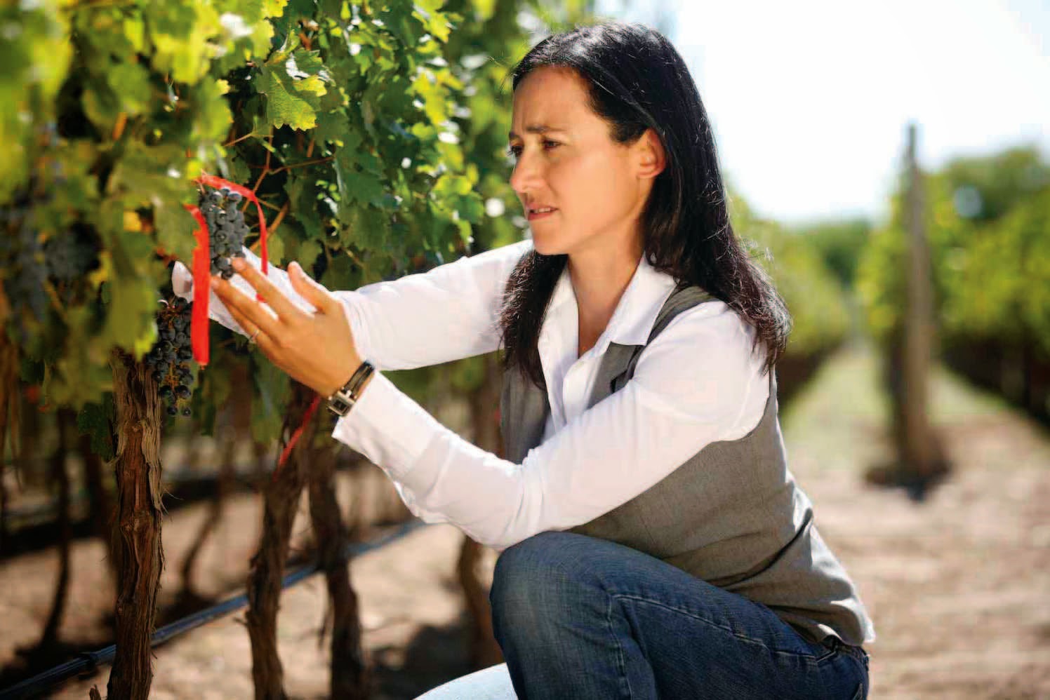 Planet Grape : INTERVIEW Laura Catena, Catena Zapata, Mendoza, Argentina