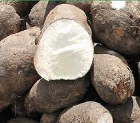 El ñame, su lado gourmet “vívere”, hervido