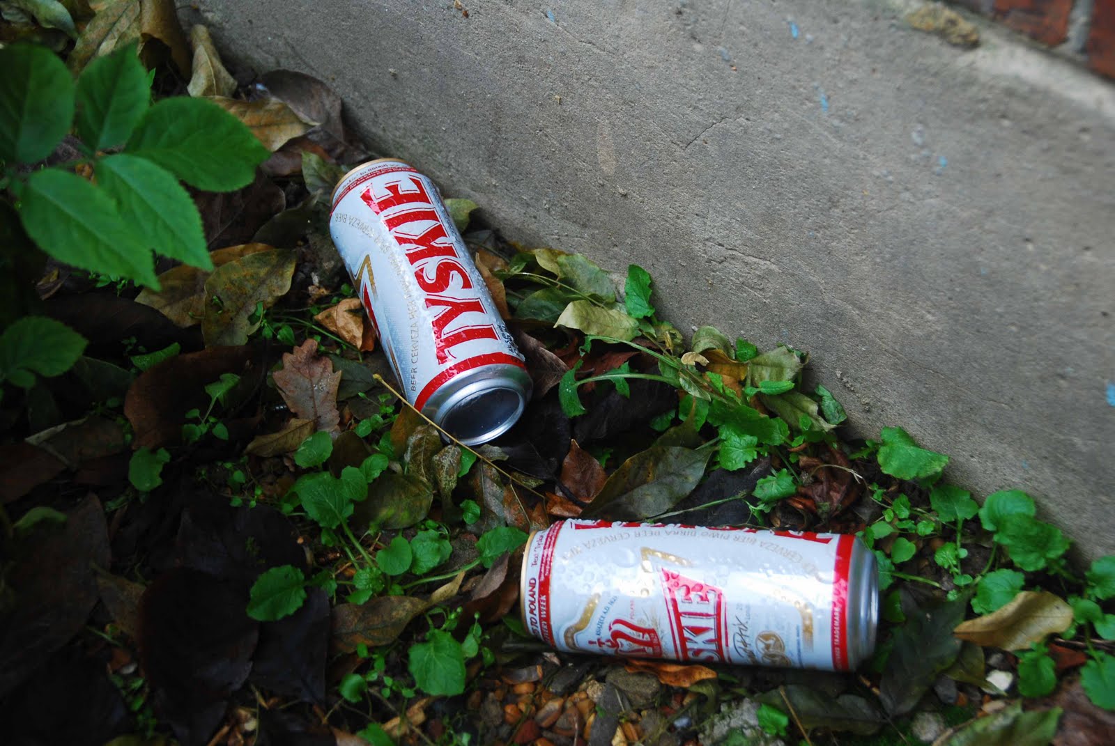 Tales of Three Men in a Boat: 137. Polish Litter Louts and the Rubbish ...