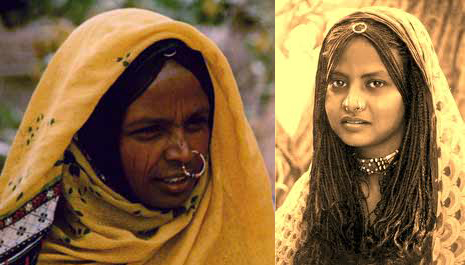 Blackout - The outage: Tribu Beja