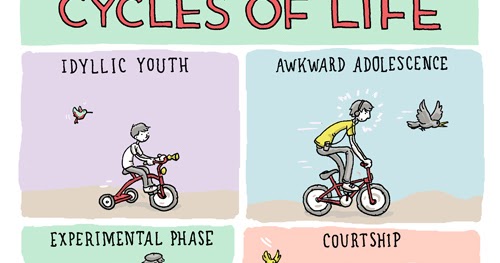 INCIDENTAL COMICS: Cycles of Life