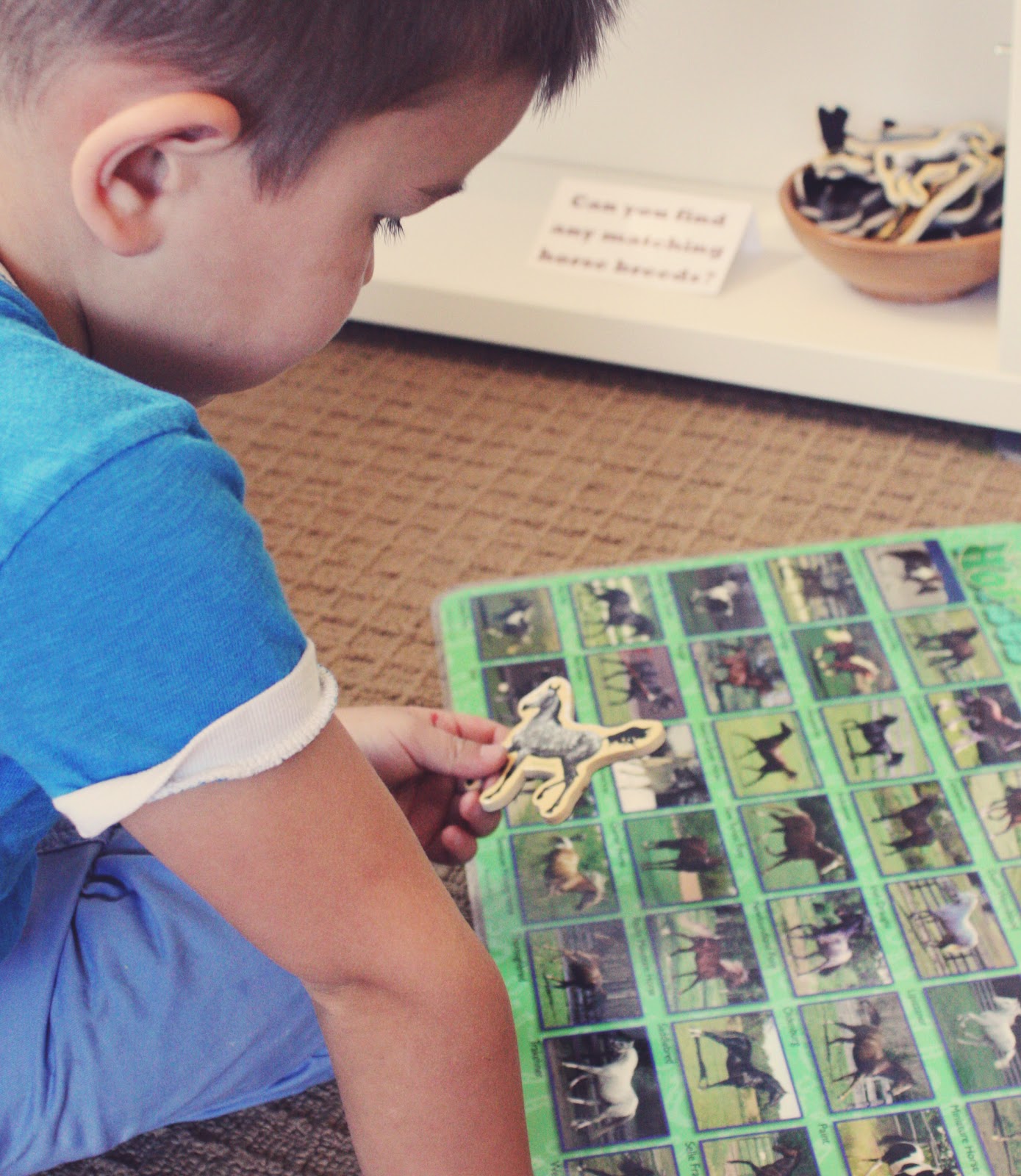 The Modern Vintage Homeschool: The Wild Horses of Sweetbriar