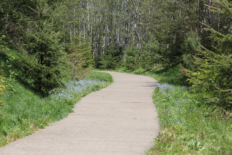 Central Oregon Coast: Spring Lake Open Space