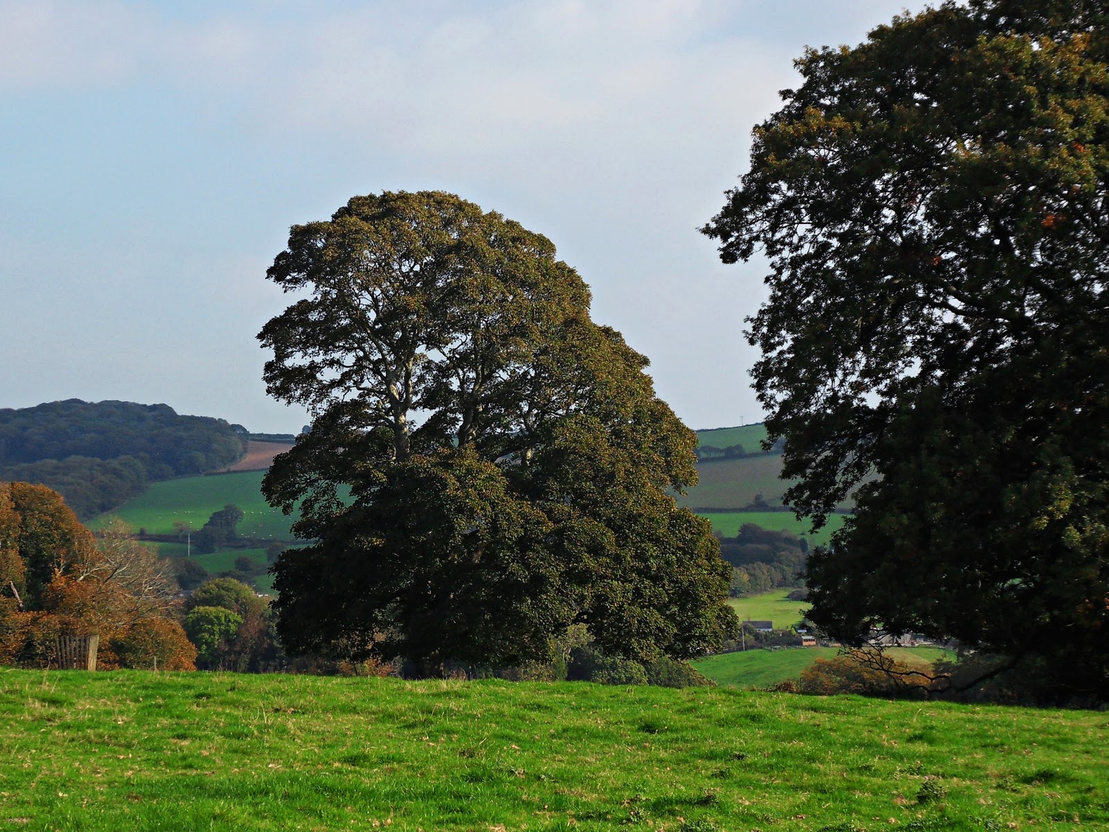 Mike's Cornwall: A Walk At Lerryn, Cornwall With River and Country ...