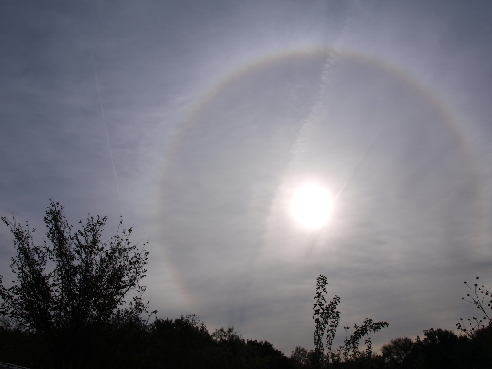 A Life Inspired by Nature: Sun Halo