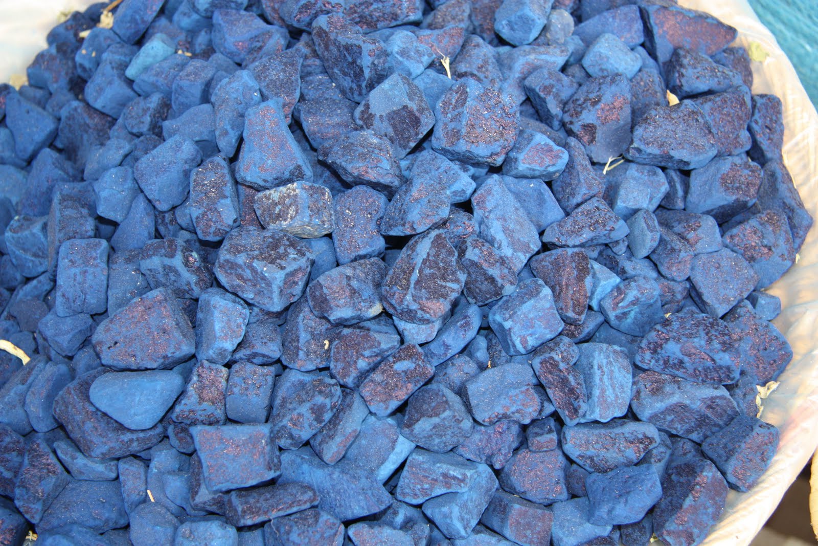 Suzanne Gummow: Indigo