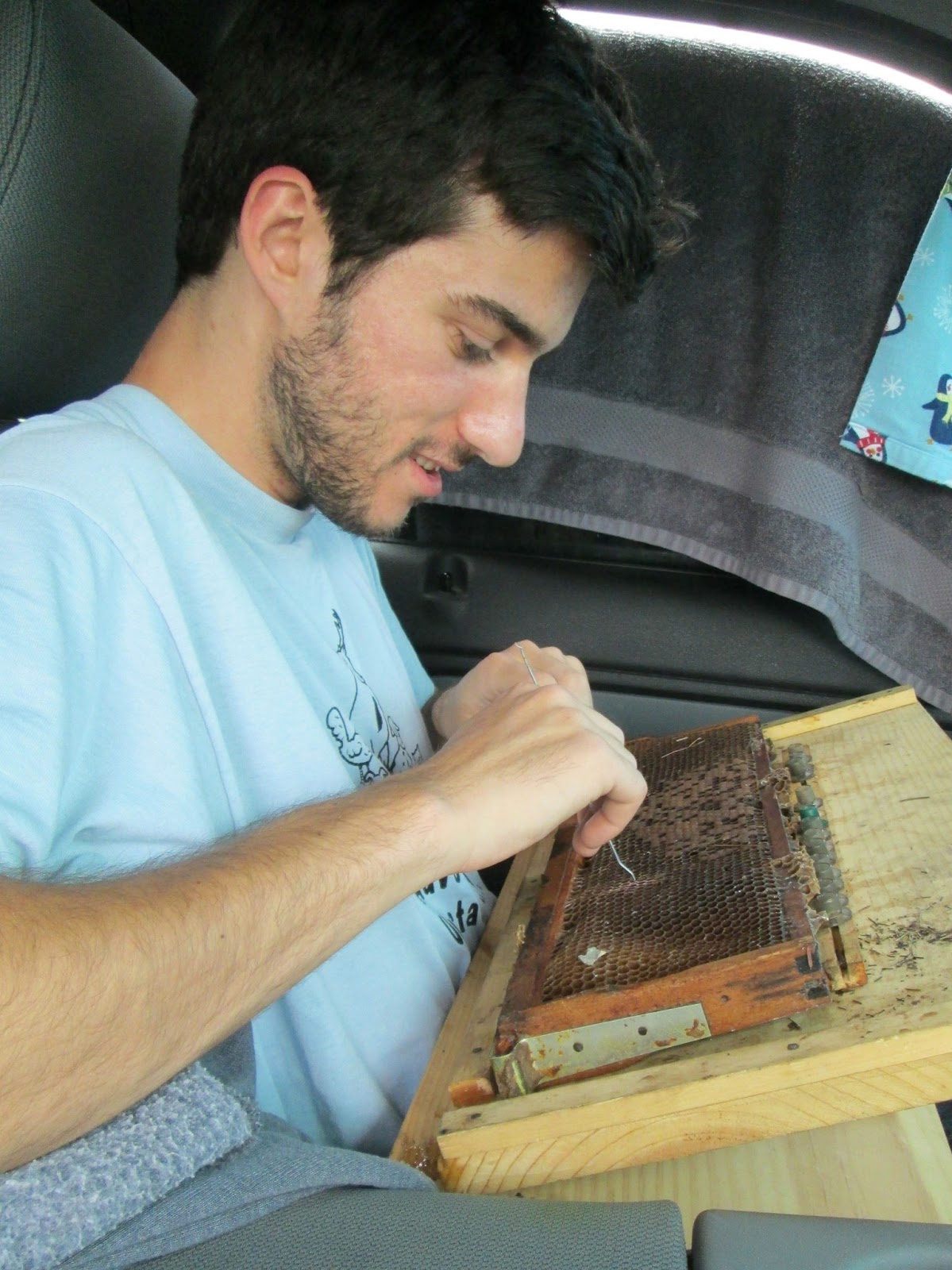 Berea Ecological Restoration: We All Live Downstream, So Let the Honey ...