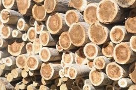 TECNOLOGÍA DE LOS MATERIALES: CAPITULO 11