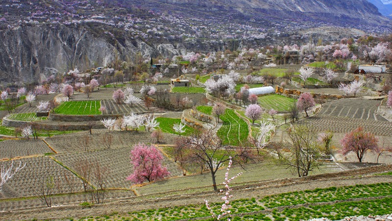 Hunza