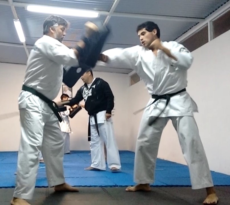 Karate SEIWAKAI "Dojo Santuario".: marzo 2017