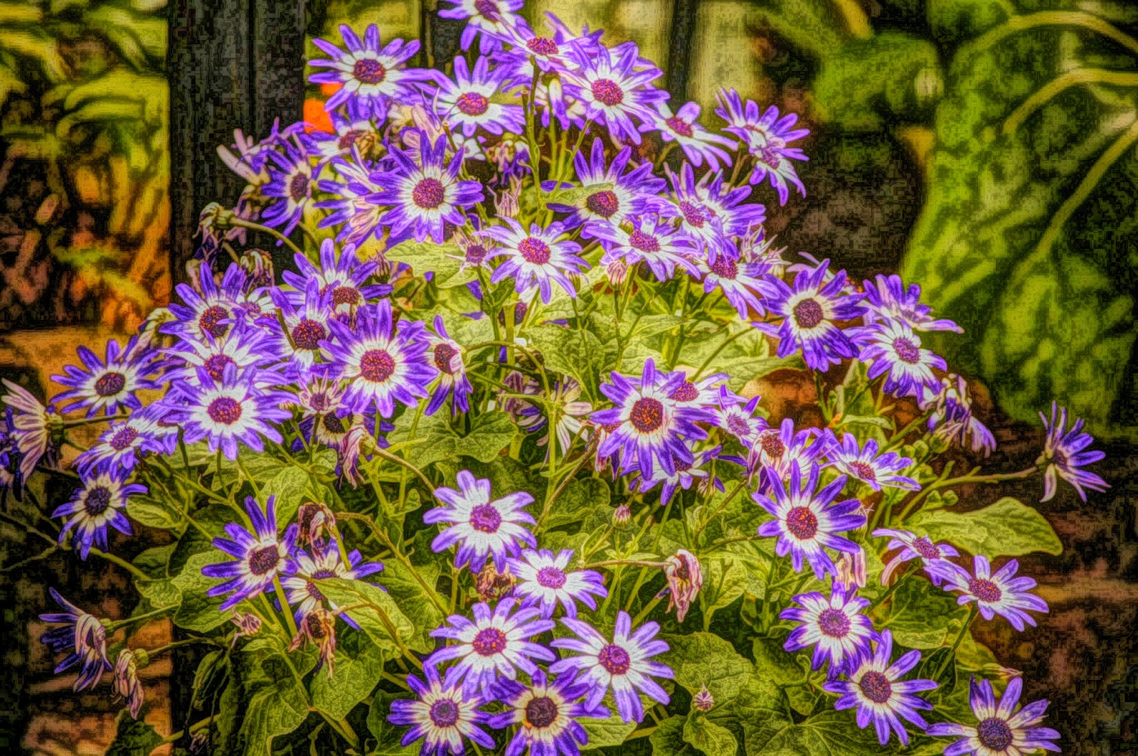 20 downloadable random free pictures for commercial use