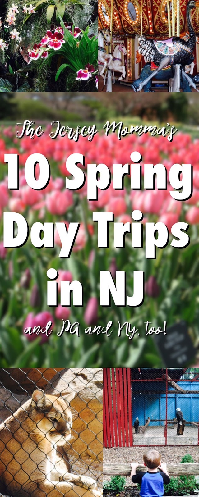 10 Fun Spring Day Trips in New Jersey (Pennsylvania and New York, too ...