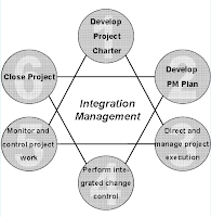 Information & Technology Management: Integration Management Process