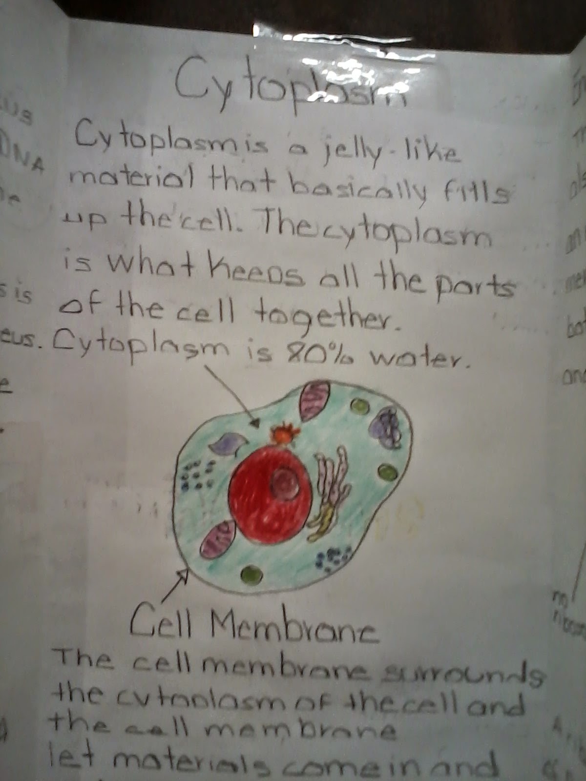 Learning English with Lots of Science