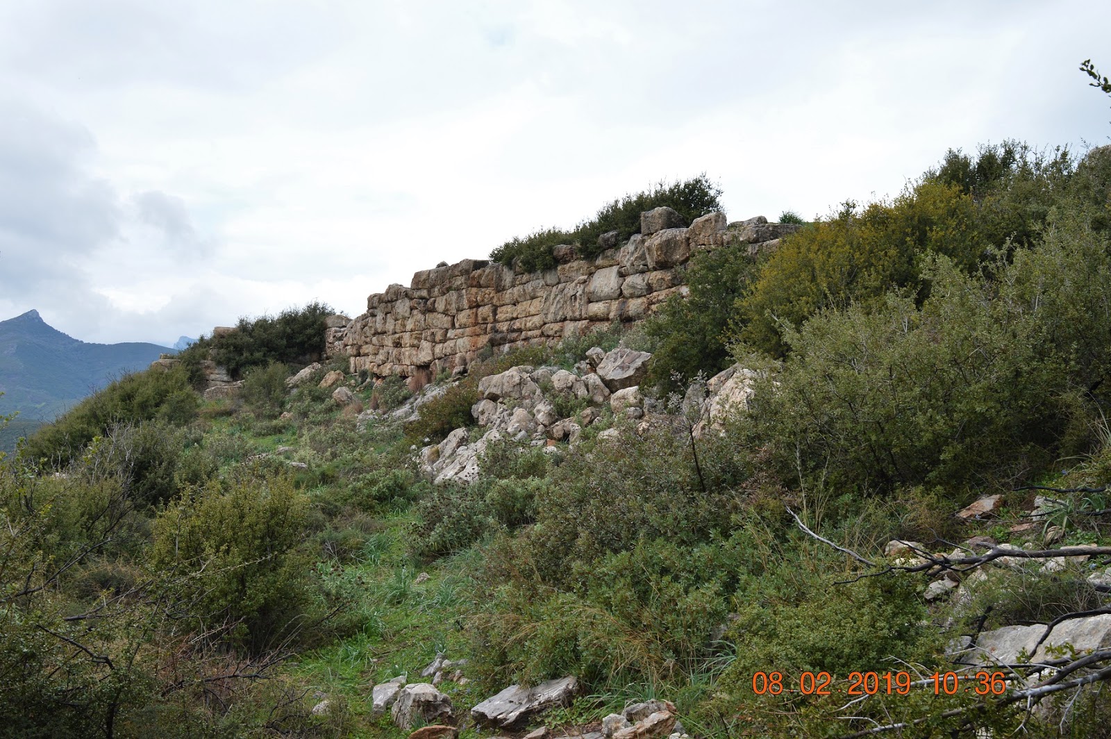 Γιώργος Πρίμπας (Στιγμές): [στην ακρόπολη του αρχαίου Πανοπέως 08.02.2019]