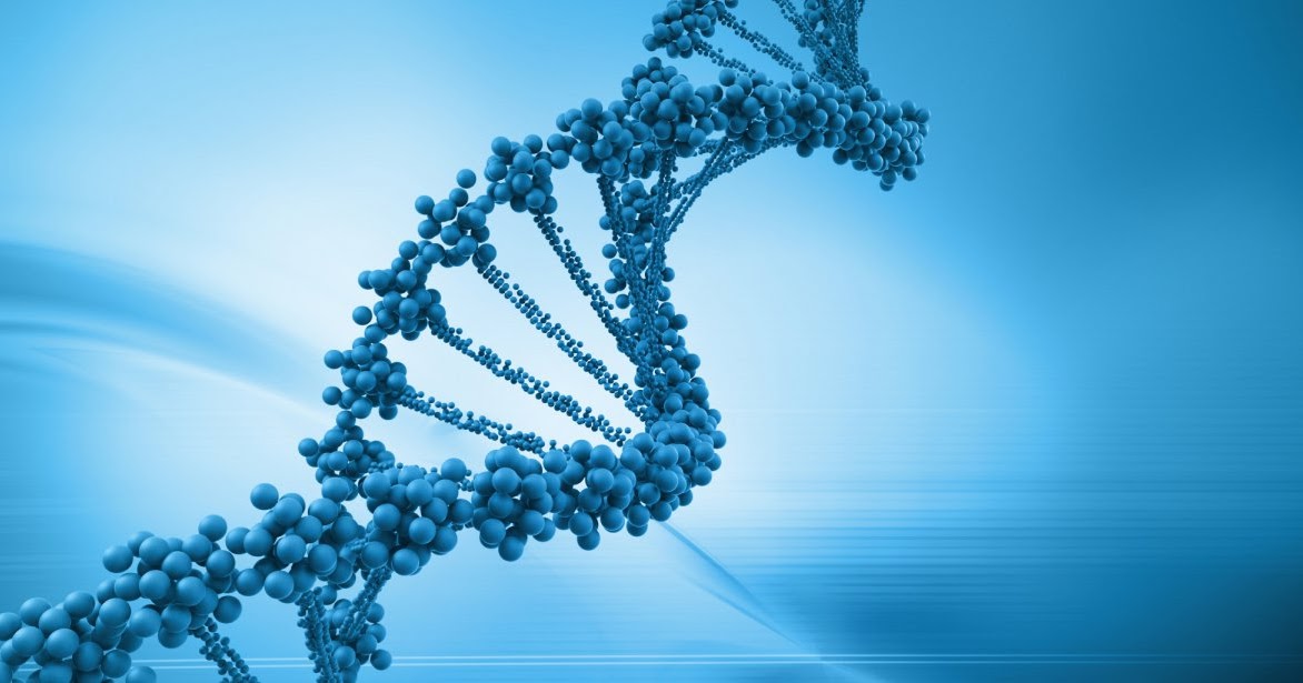 Introducción a la genética (IV): la transmisión de la herencia - Biología