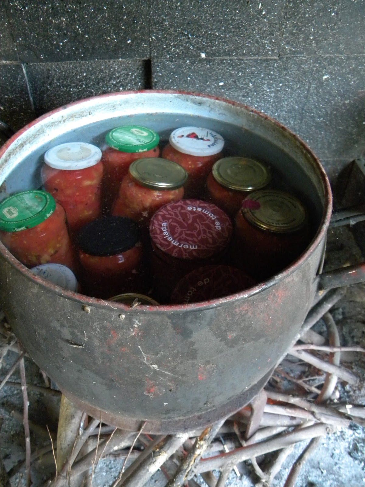 Huerto de Tatay: Conserva al baño mariahuerto