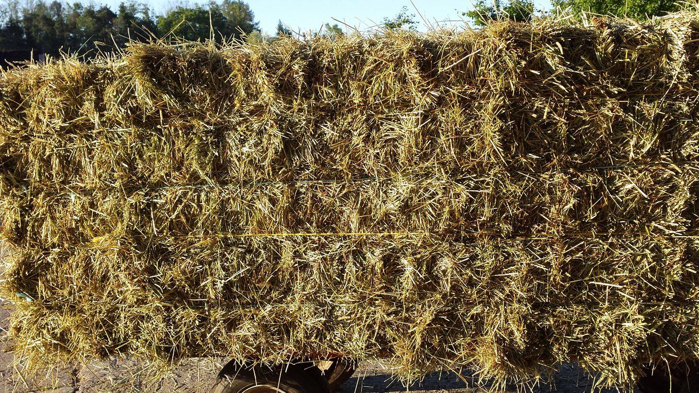 What is 'up' at Hopewell Creek Stables: The sweet smell of fresh hay!