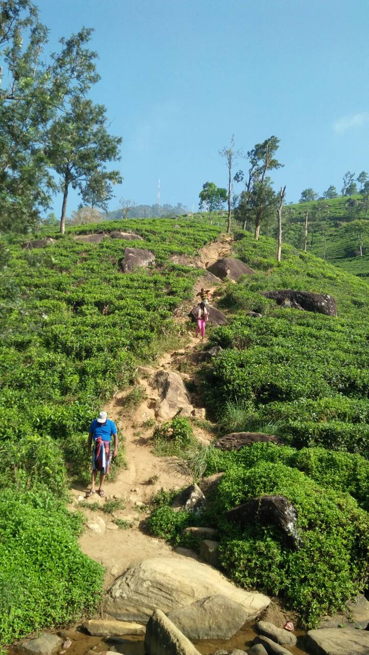 Patna View Point Deniyaya- Burusgala