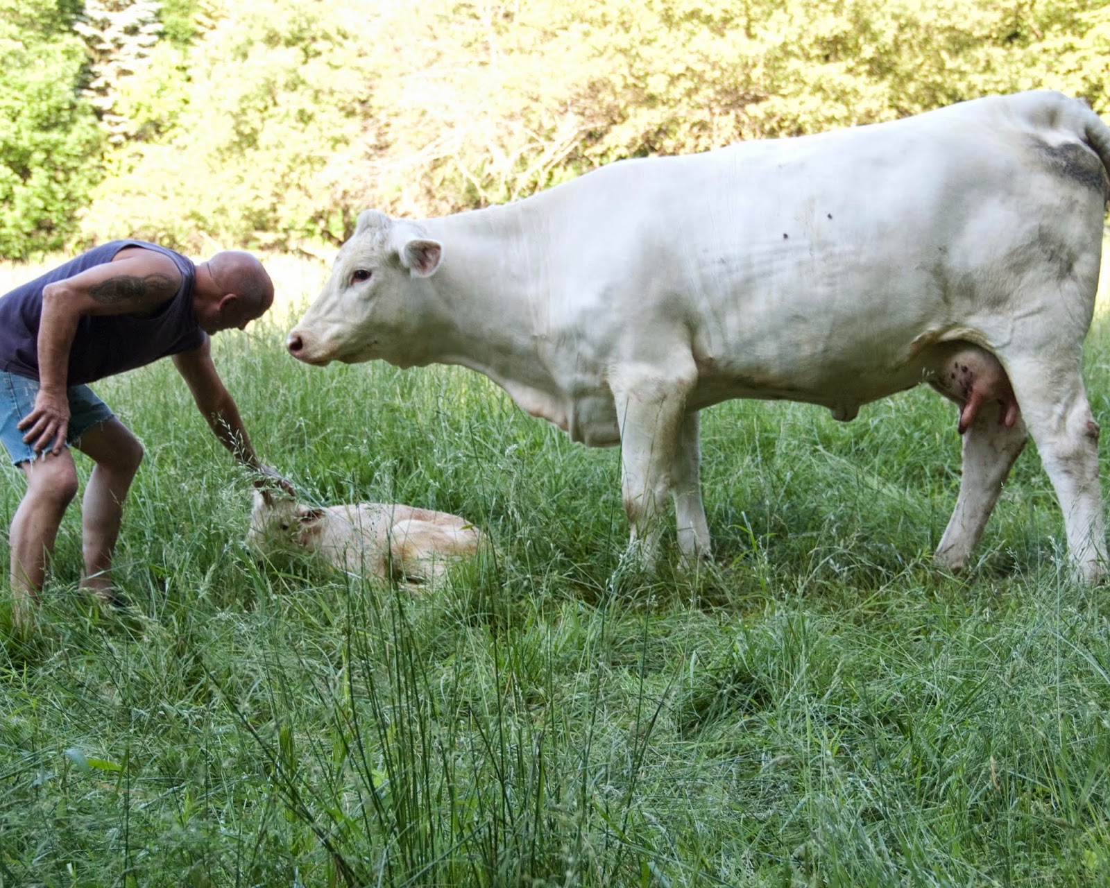 Scraps-a-Plenty: 2014