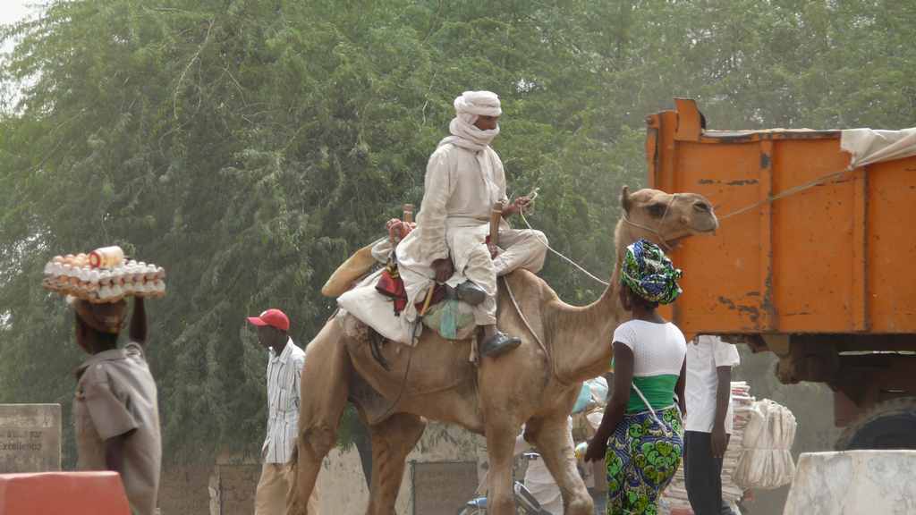 Haz Q Cuente || Make It Count: CHAD || CHAD