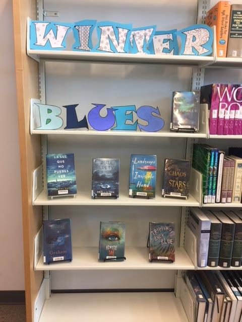 Flores & Fifth Ward Neighborhood Library