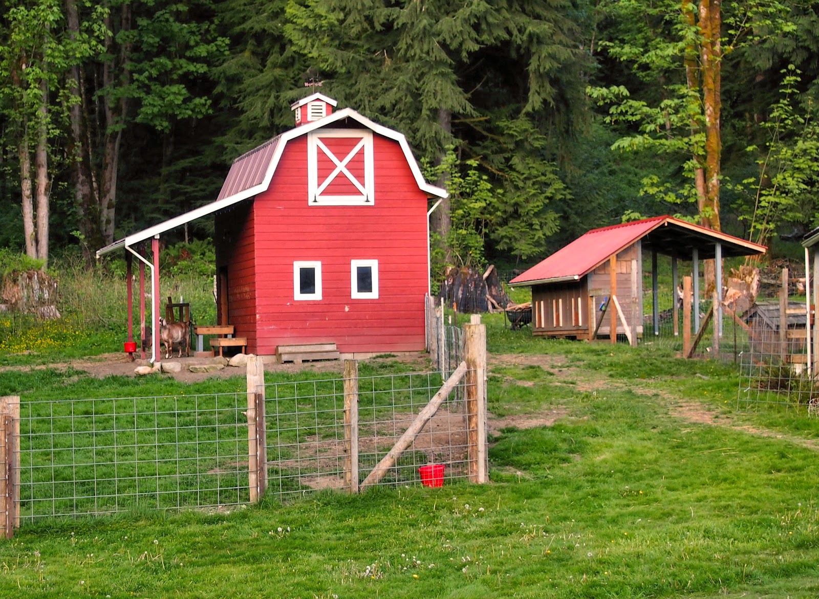 Twisted Fern Farm: Sheep Shack Project Phase II
