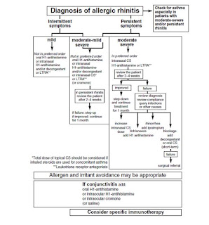 "3v" of medic: RHINITIS ALERGI