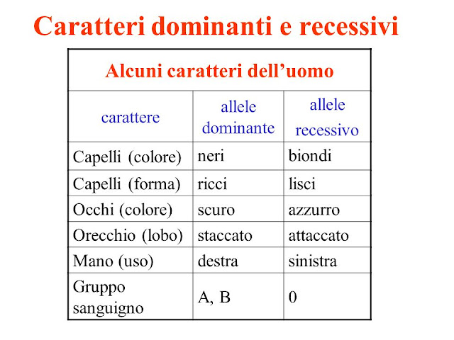Cosa Vuol Dire Aploide e Diploide? Qual è la Differenza tra Organismi ...