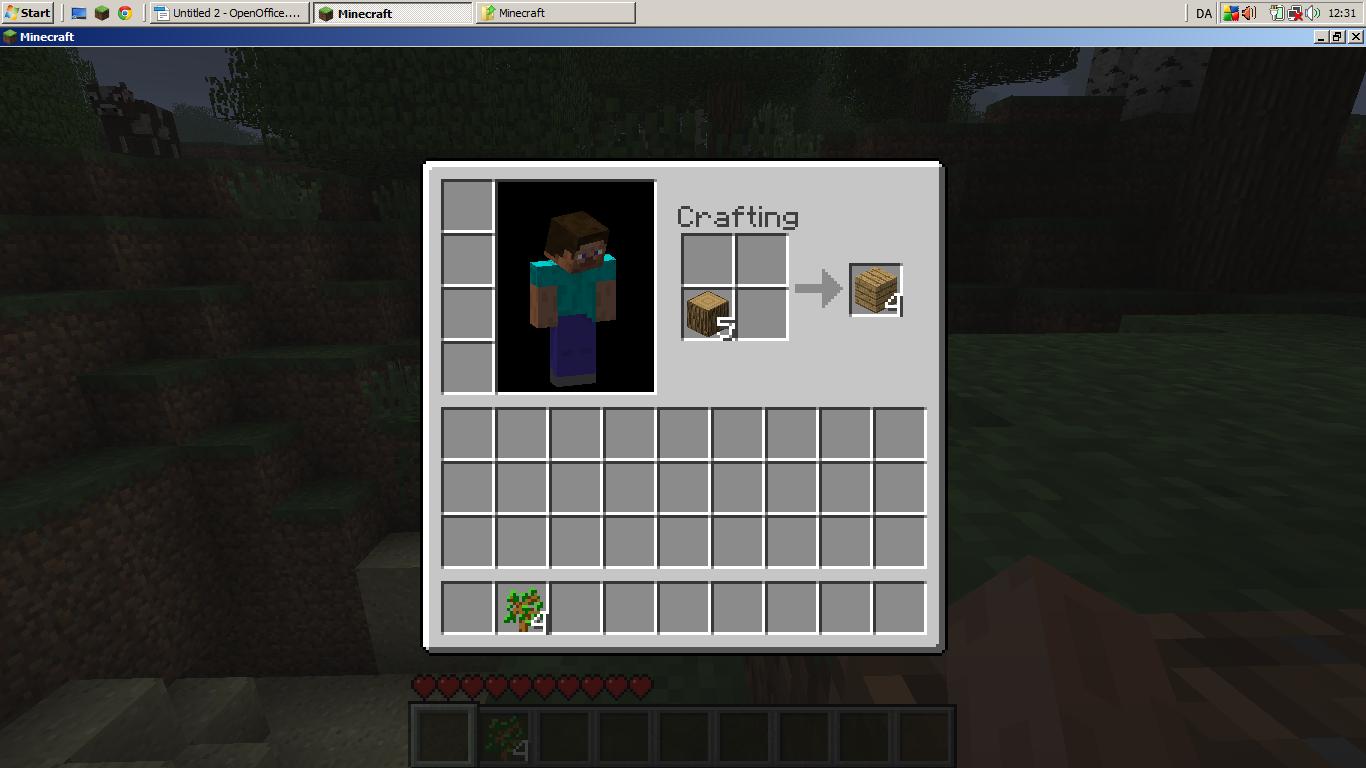 Minecraft beginners guide