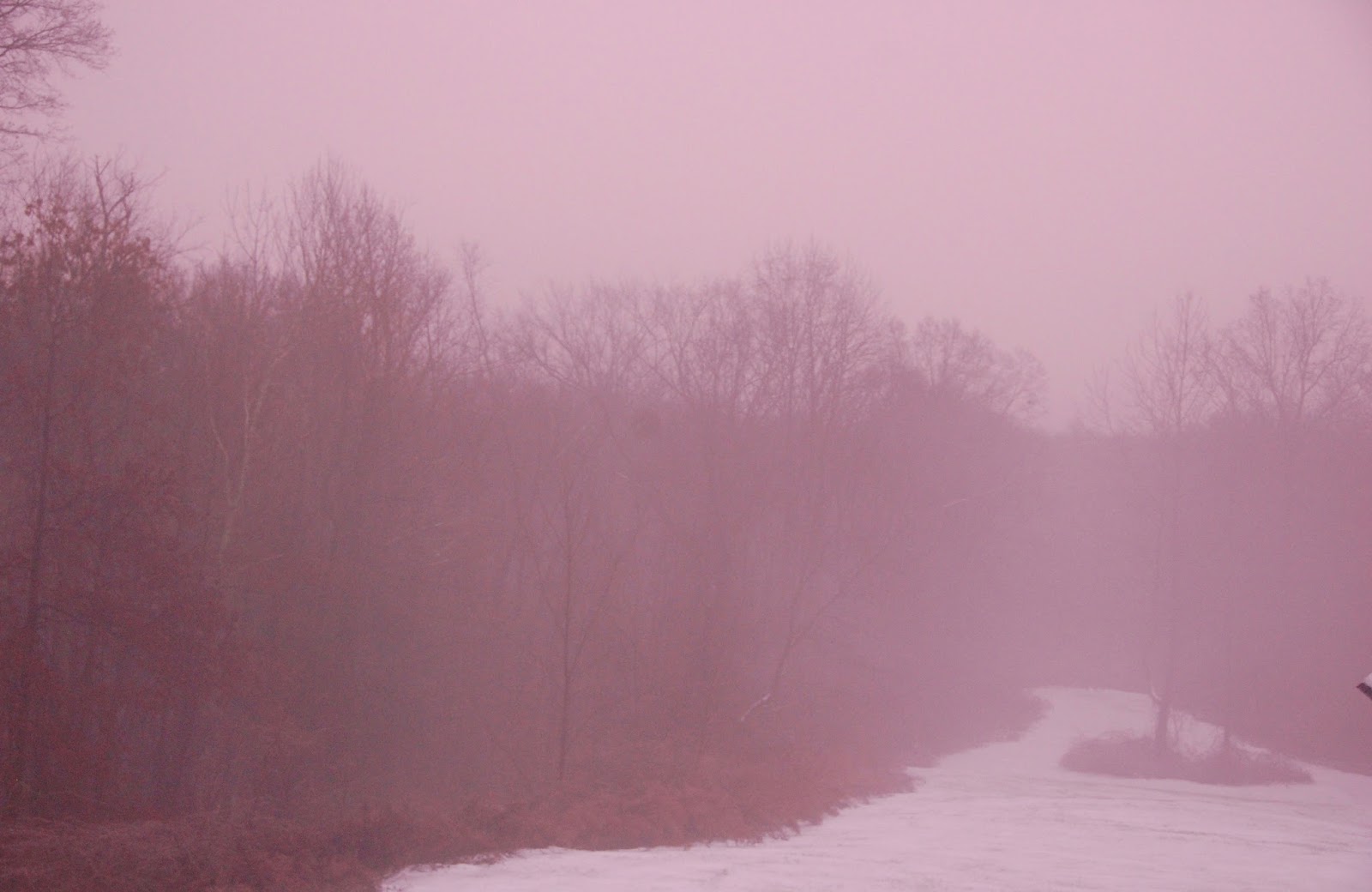 Content in a Cottage: Pink Fog at My Cottage This Morning