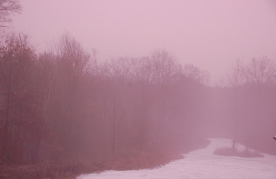 Content in a Cottage: Pink Fog at My Cottage This Morning
