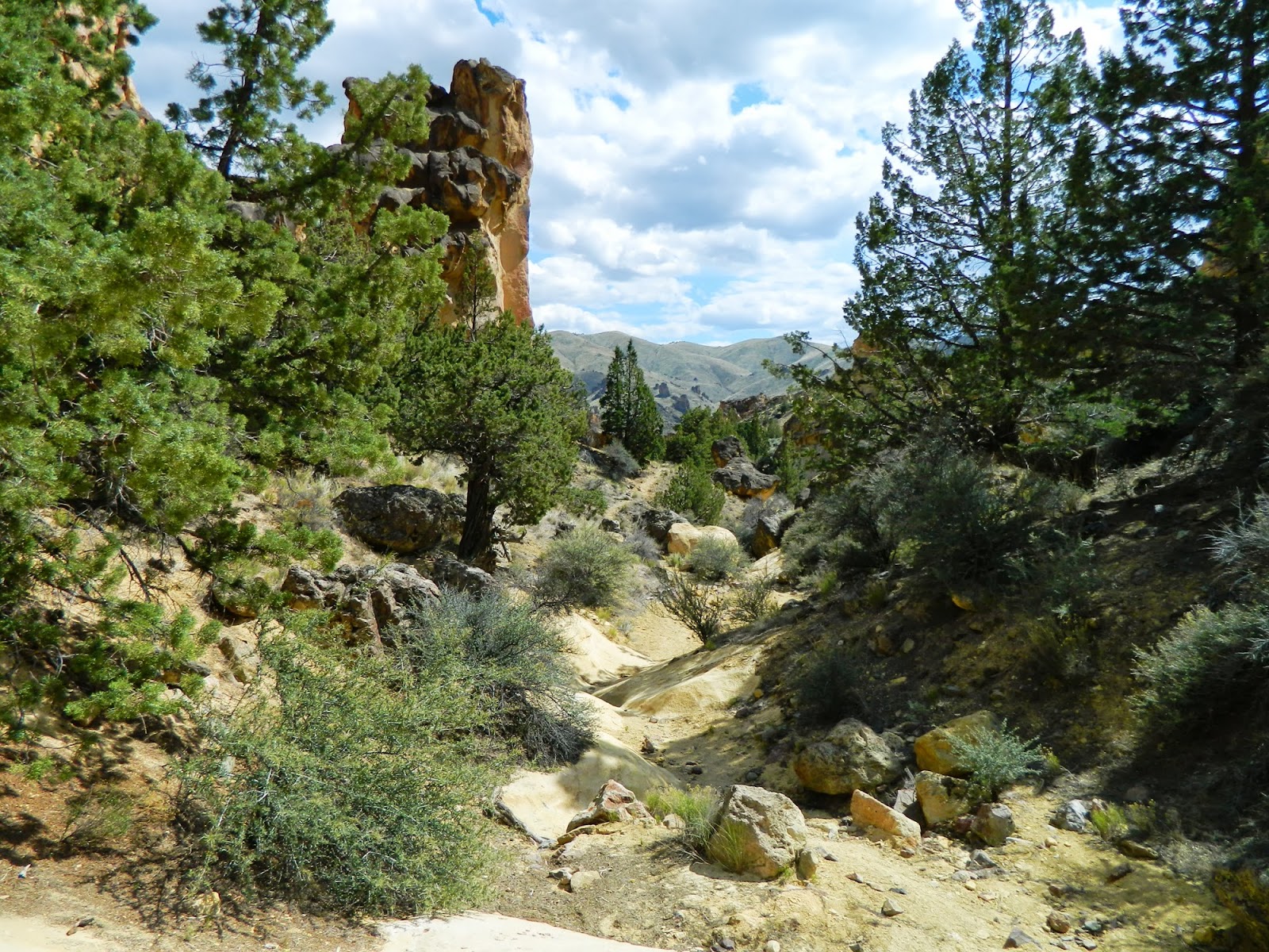 Living in Idaho: Juniper Gulch at Leslie Gulch Area