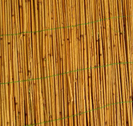 APUNTES - REVISTA DIGITAL DE ARQUITECTURA: Arquitexturas Naturales 19 ...