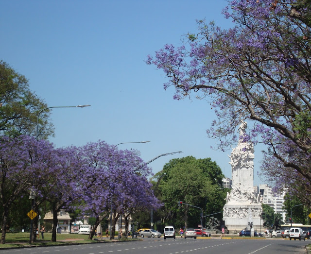November in Buenos Aires, Jacaranda trees in bloom | My Buenos Aires ...
