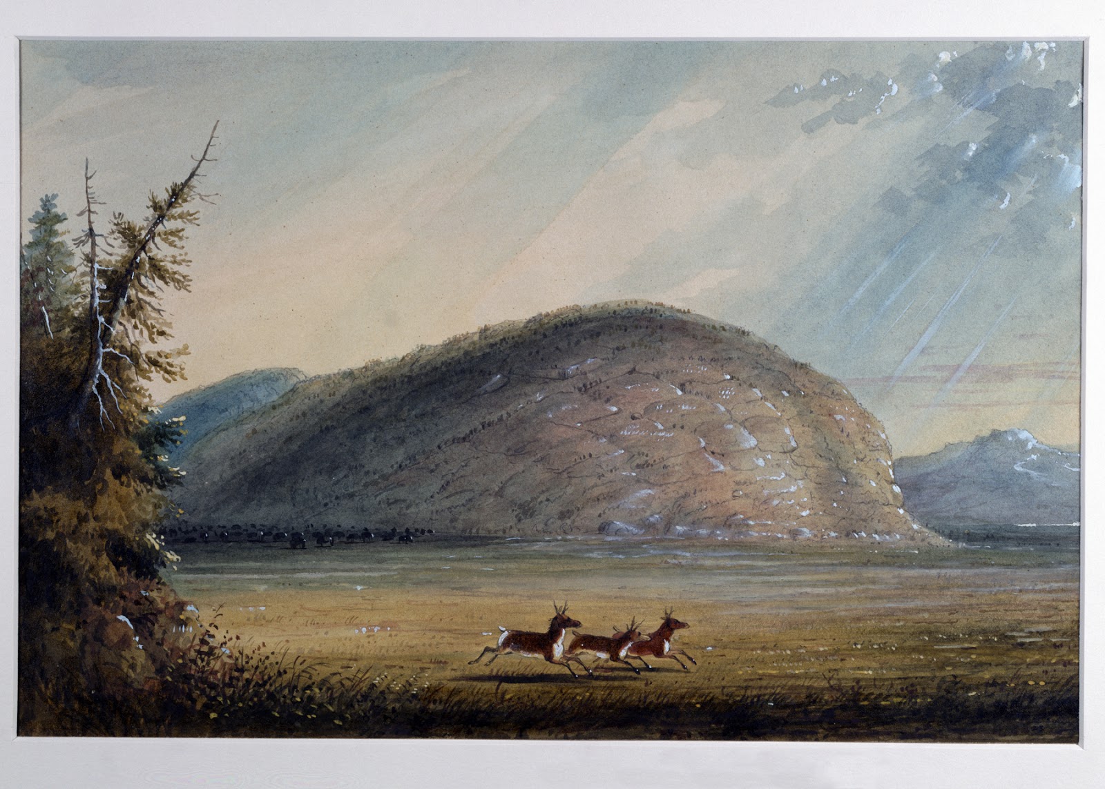 Heroes, Heroines, and History: Connecting with History at Independence Rock