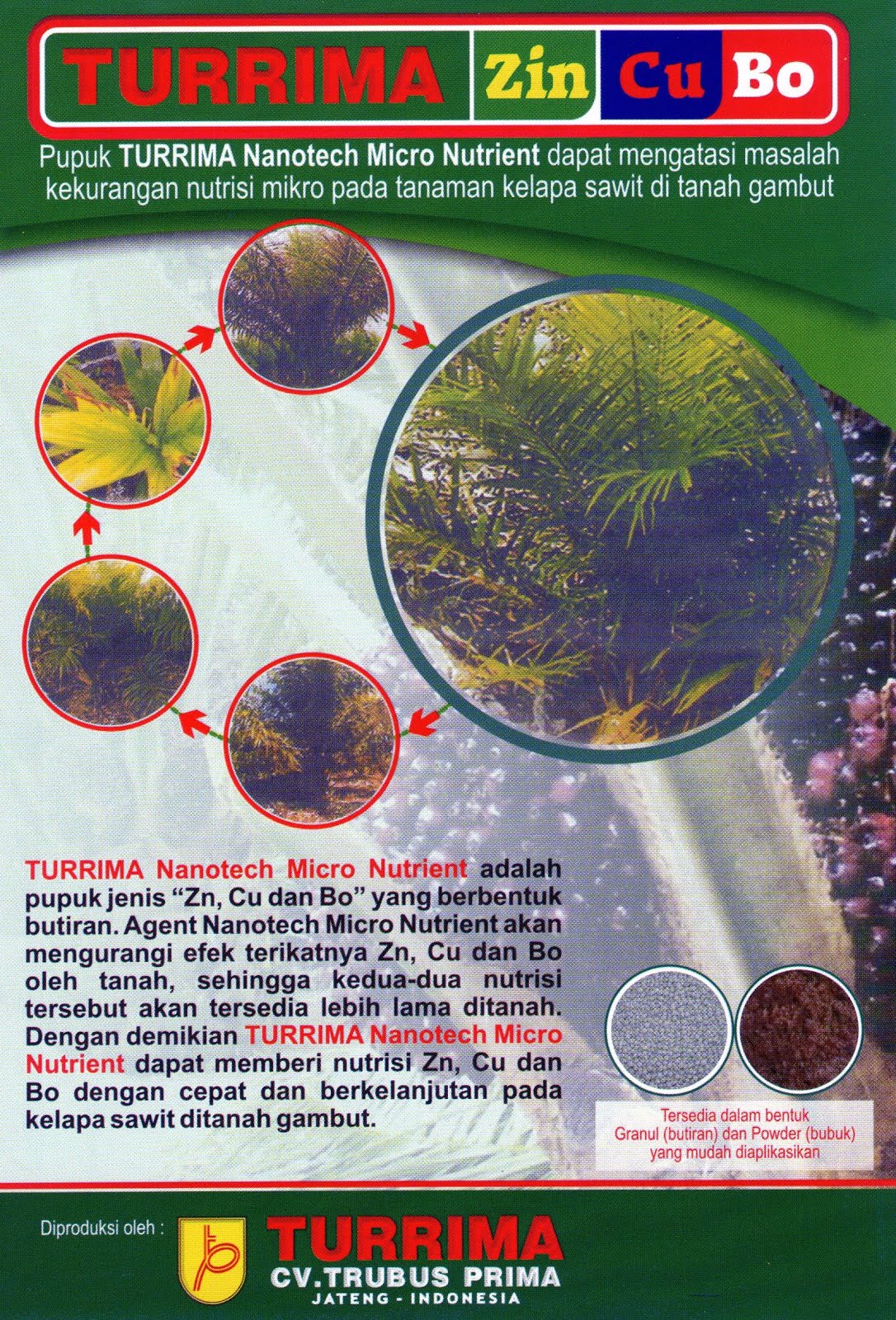 PT. TURRIMA AGRO MASS: Produk PT. TURRIMA