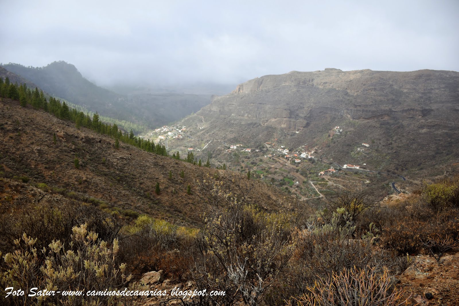 Circular entre El Aserrador y El Juncal. - Caminos de Canarias