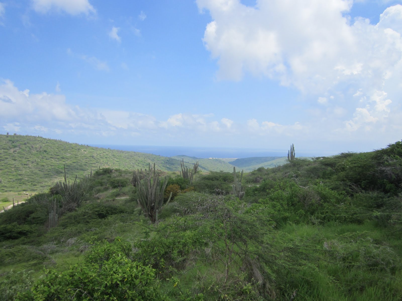 De belevenissen van de Familie Fingal op Aruba: Bezoek papa dag 6 ...