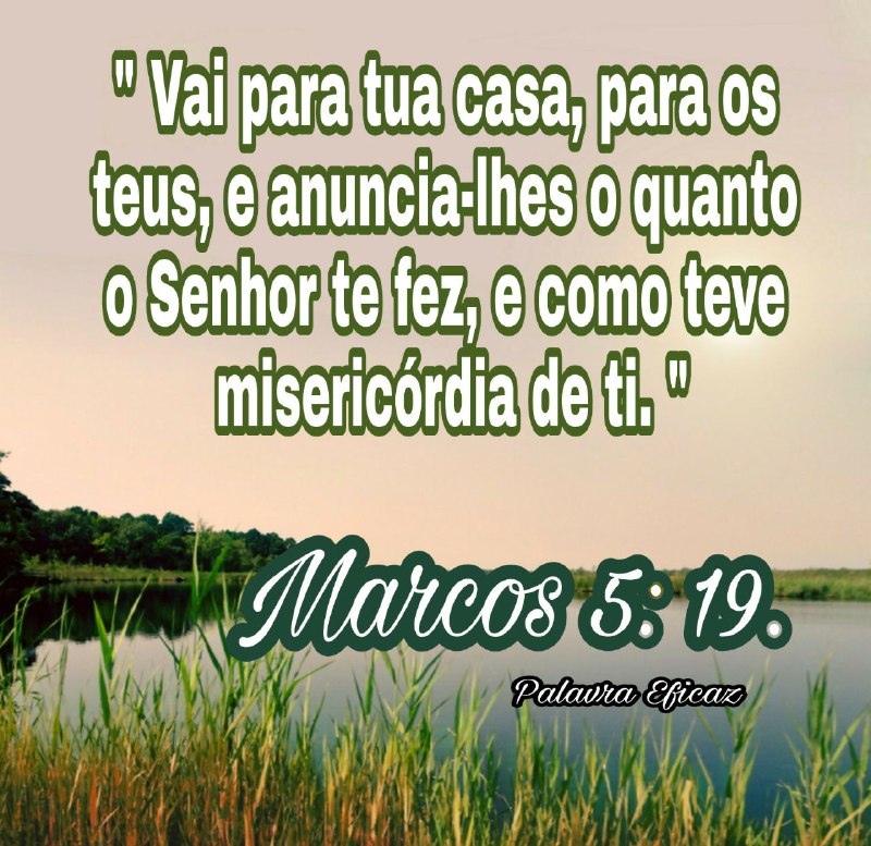 Palavra Eficaz : MARCOS 5 Comentário Pr Heber Toth Armí