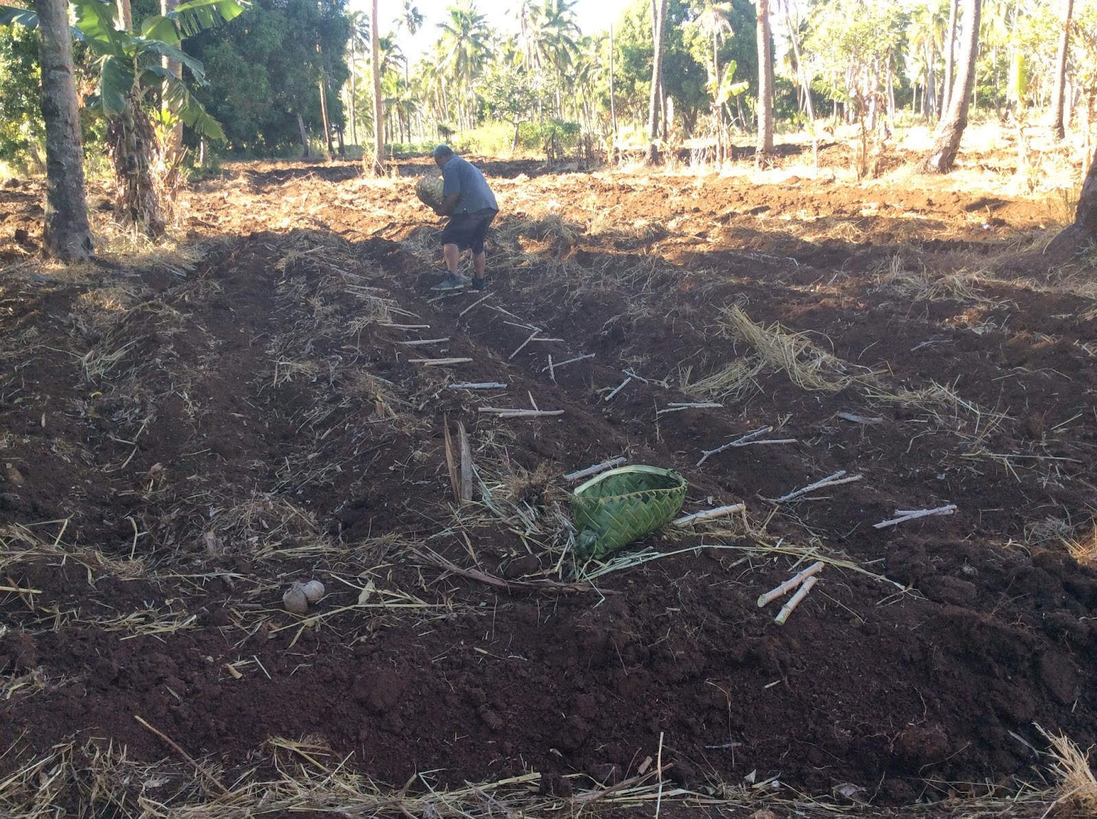 Murdocks In Tonga: Visit to Veitongo Farming Project