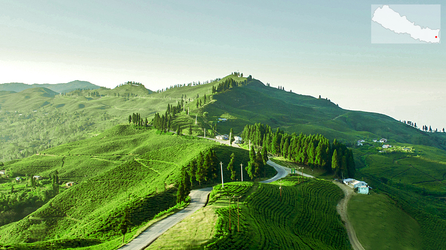 Chiya Bari Illam : - Visit Nepal Online