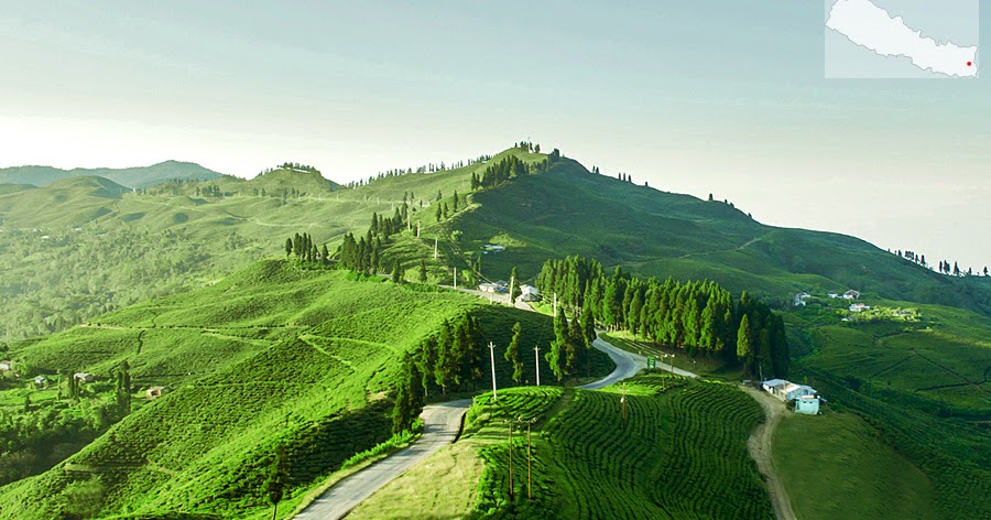 Chiya Bari Illam : - Visit Nepal Online