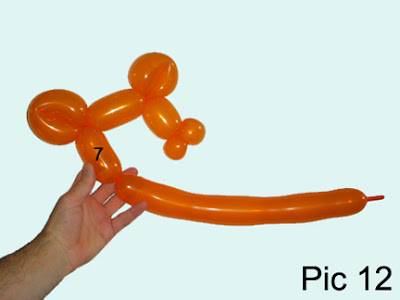 CLASSICAL: Balloon fish