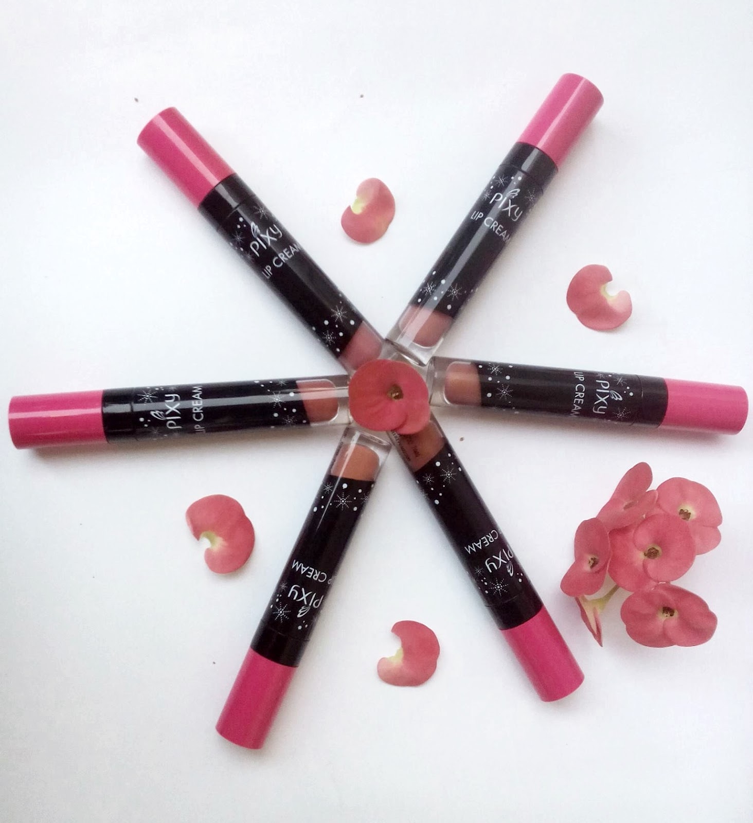 Inilah 6 Shade Terbaru Lip Cream PIXY Cosmetics : Nude Series Anggi Putri