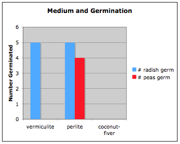PHS Hydroponics: Medium and Germination Success Study