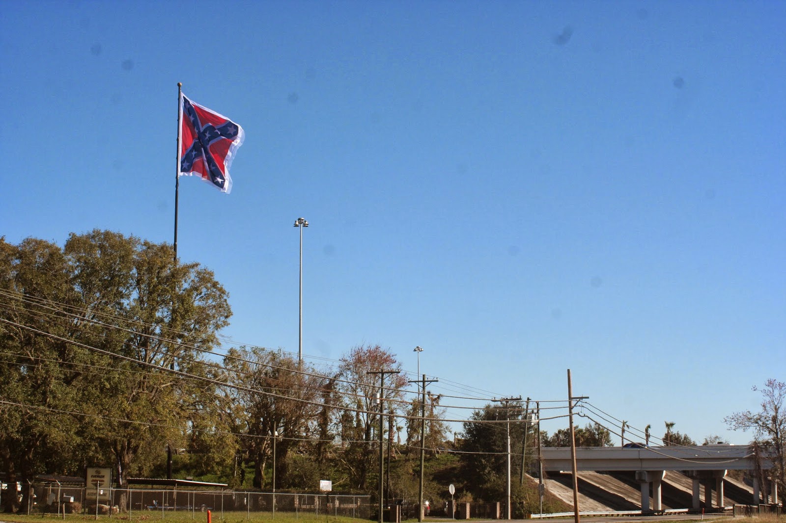 The Virginia Flaggers: 30 x 30 ANV Battle Flag Hoisted in Tampa