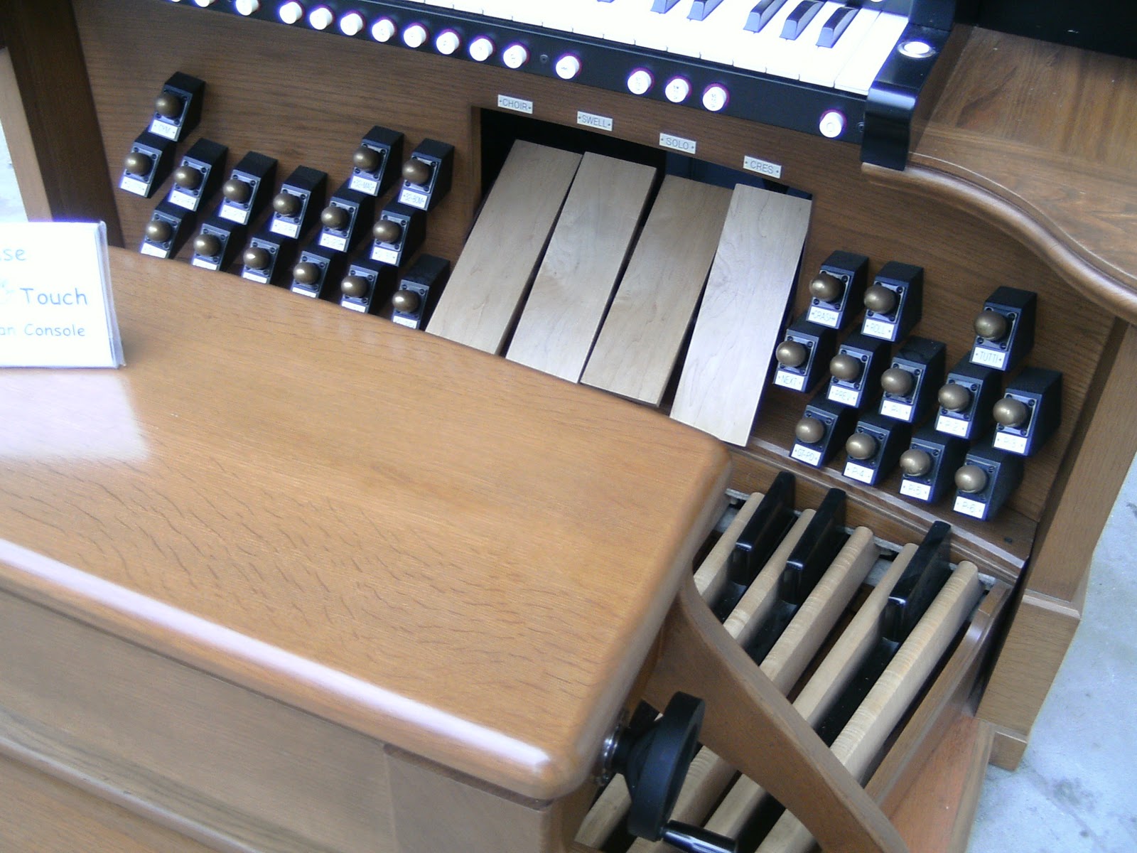 Sam in San Diego: Organ Concerts