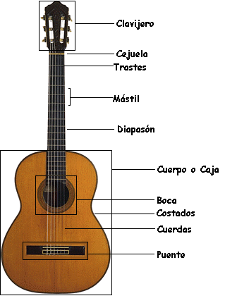 GUITARRA NET: Partes de la guitarra
