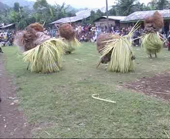 Global Hand Cameroon : BRIEF HISTORY OF THE BAKWERI PEOPLE